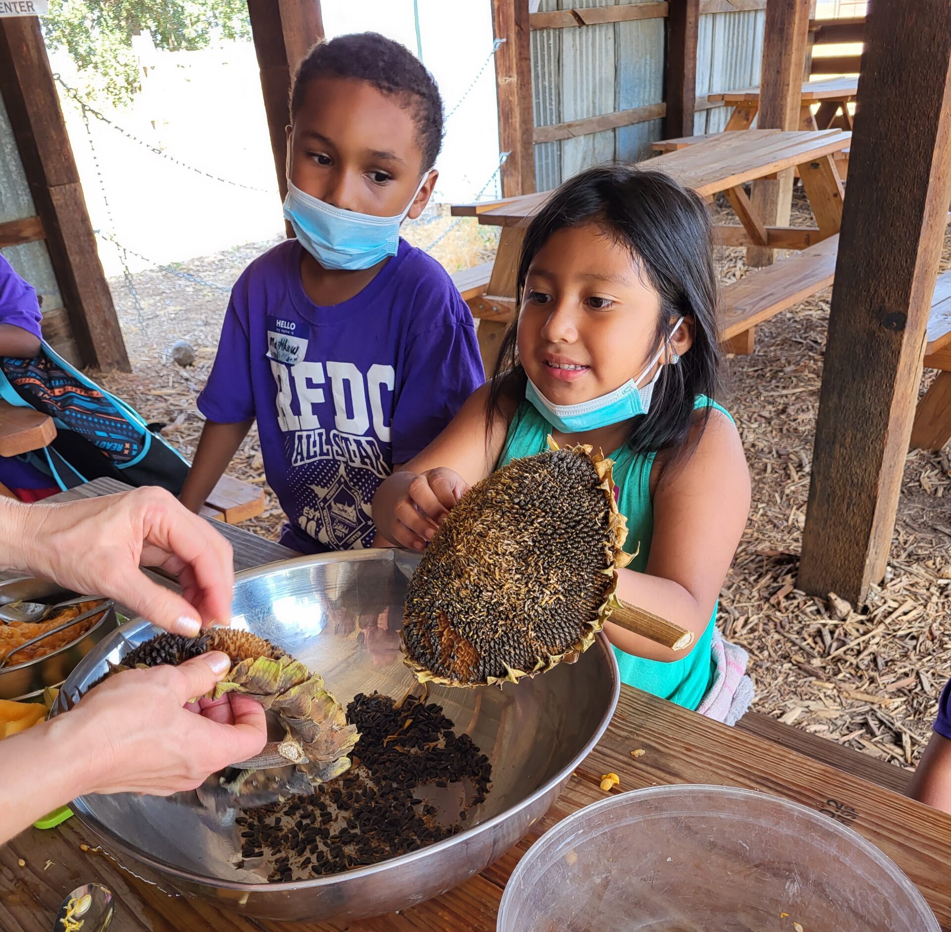 Project AWE - Splash