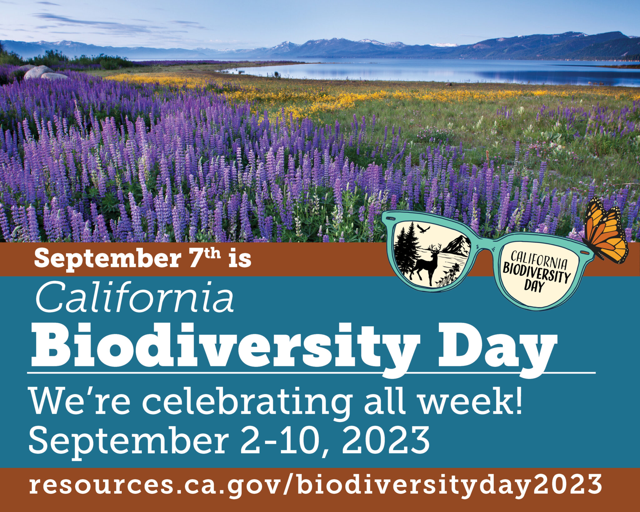 Splash “Bioblitz” Nature Walk To Celebrate Biodiversity Week! Sunday ...