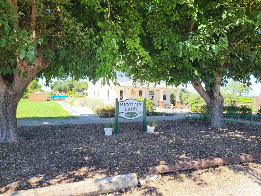 Project AWE - Splash