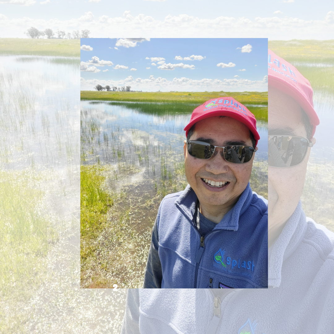 Championing Environmental Education at Sacramento Splash - Splash