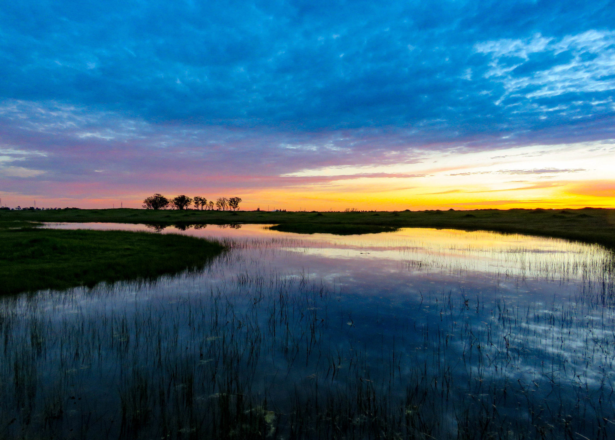 Vernal Pools - Splash