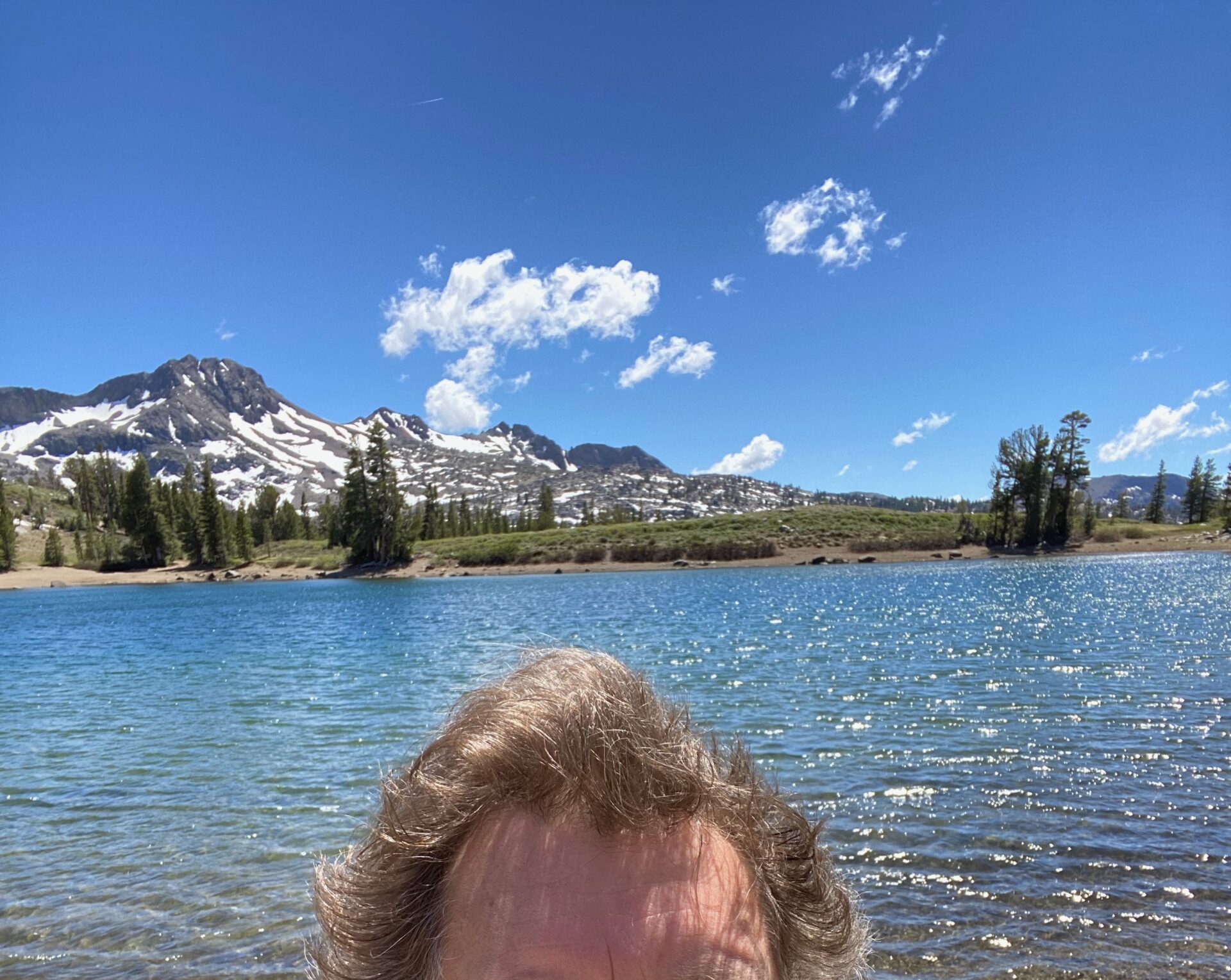 The man, the myth, the legend: David Rosen - Splash