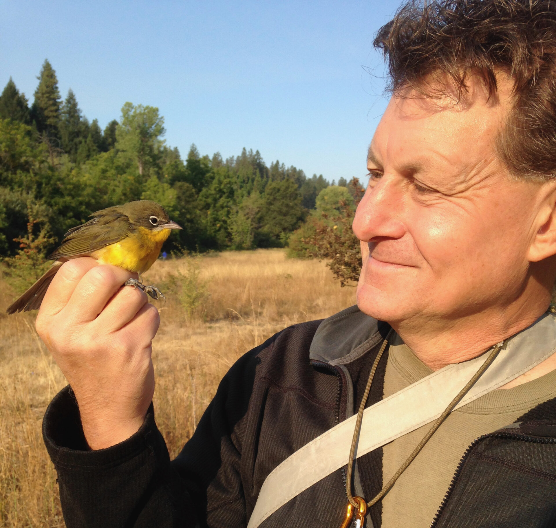 The man, the myth, the legend: David Rosen - Splash