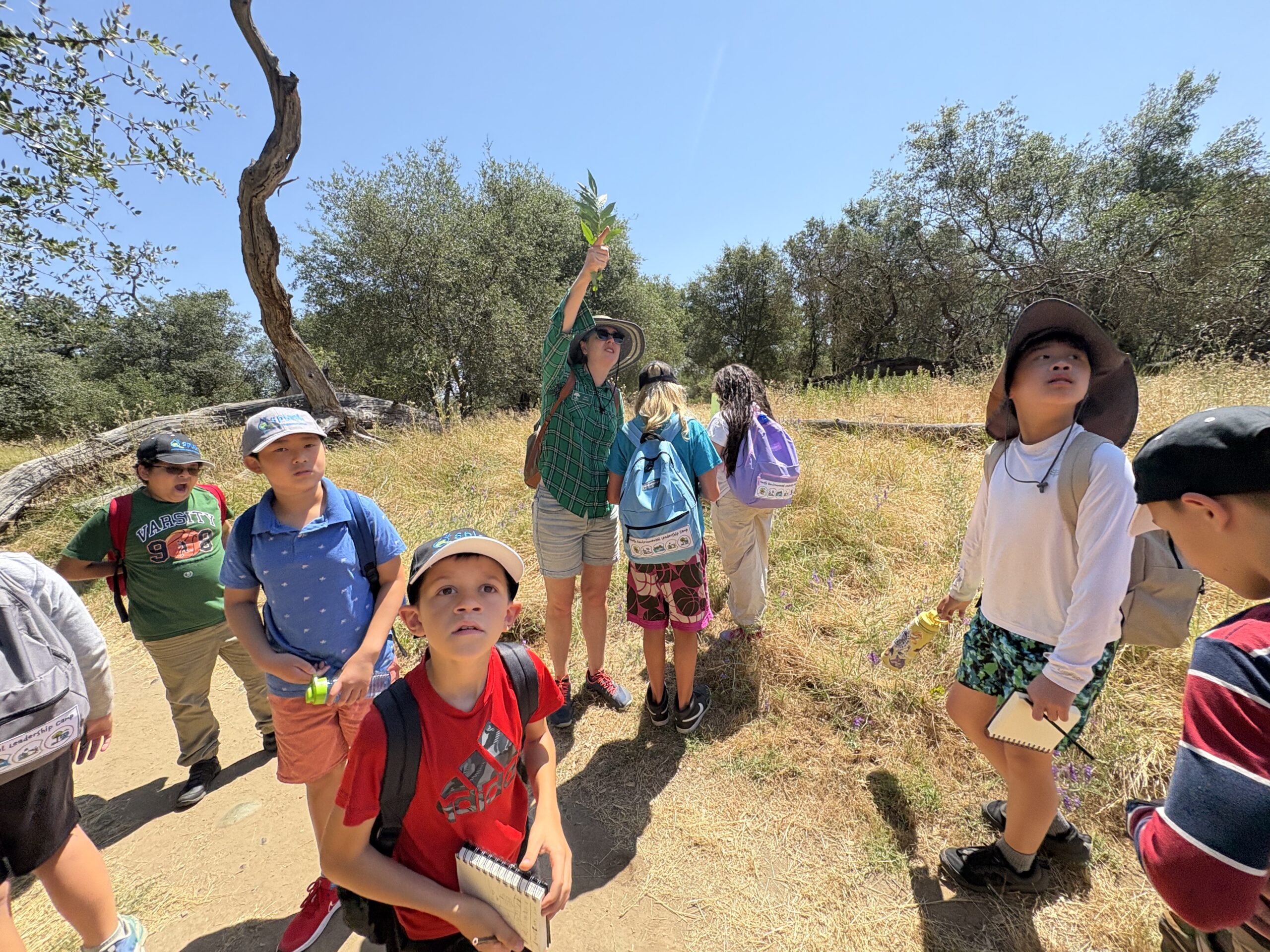 YELC Applications Open January 5: What Families Need to Know - Splash