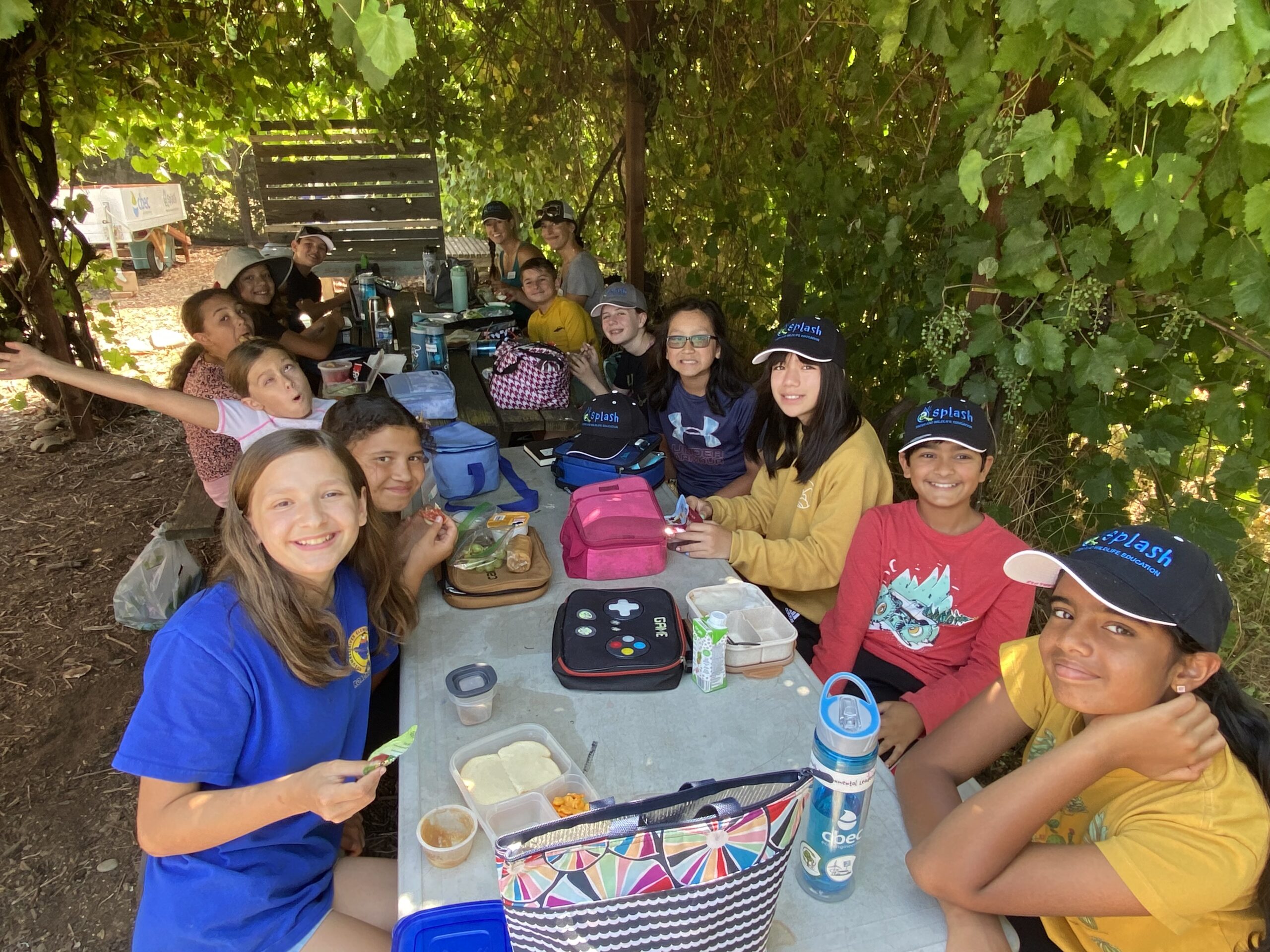 Splash Annual Report 2023-2024: A Year of Impact and Excitement! - Splash