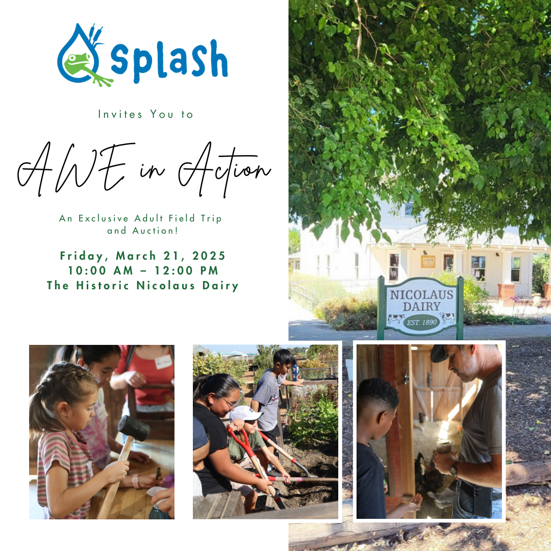 Recap: “AWE in Action” – An Exclusive Adult Field Trip & Auction - Splash