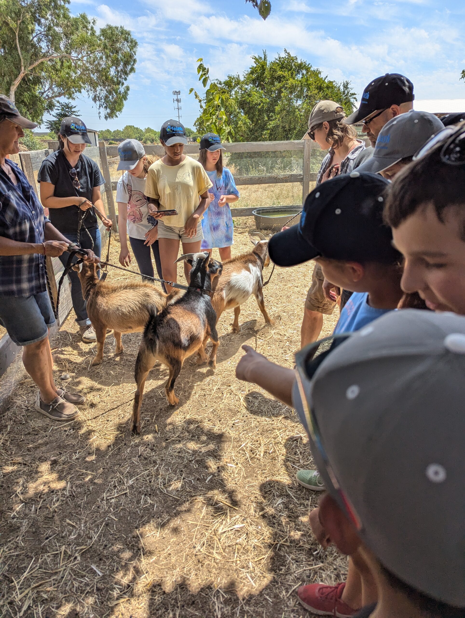 Splash Annual Report 2023-2024: A Year of Impact and Excitement! - Splash