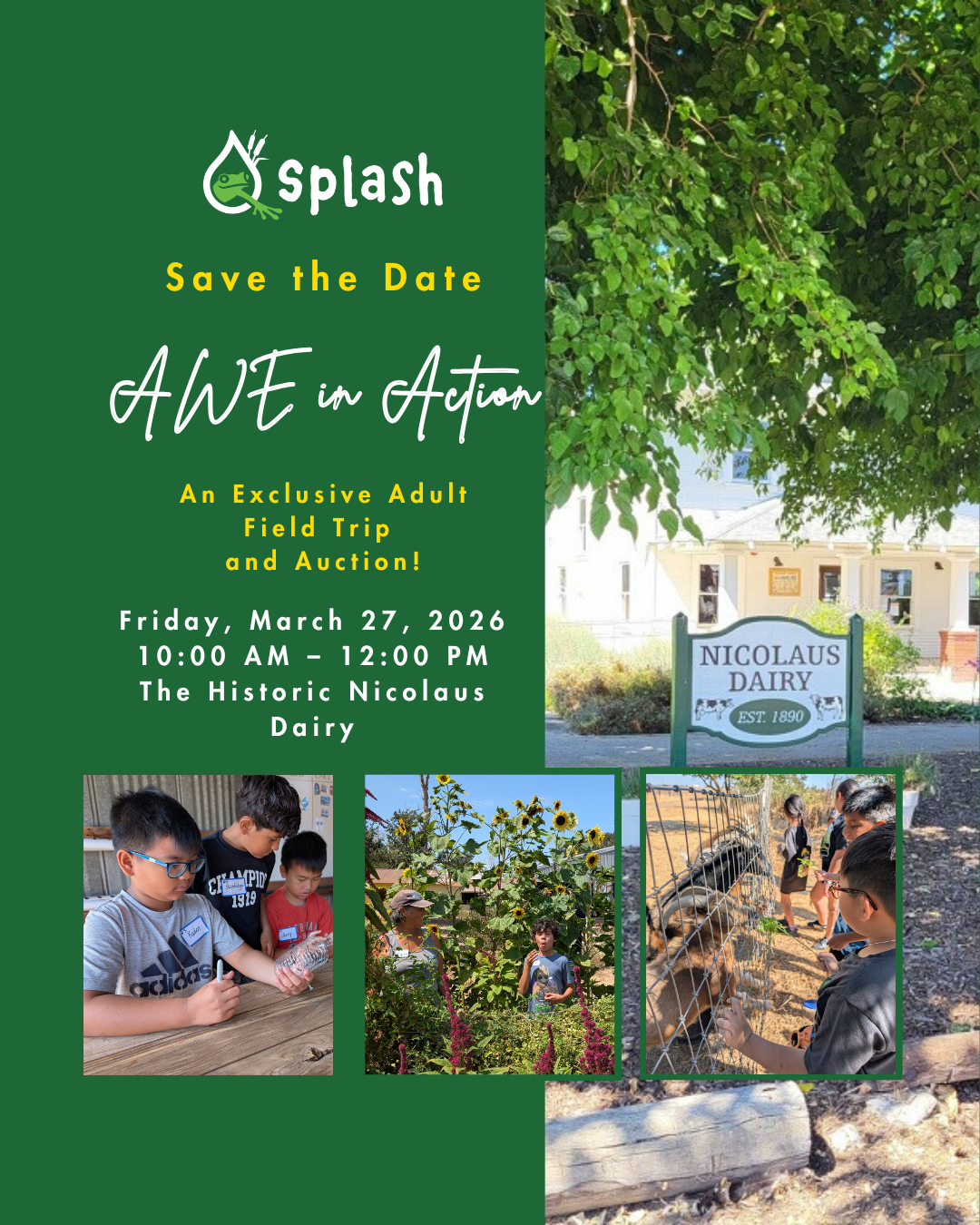 SPECIAL EVENTS - Splash