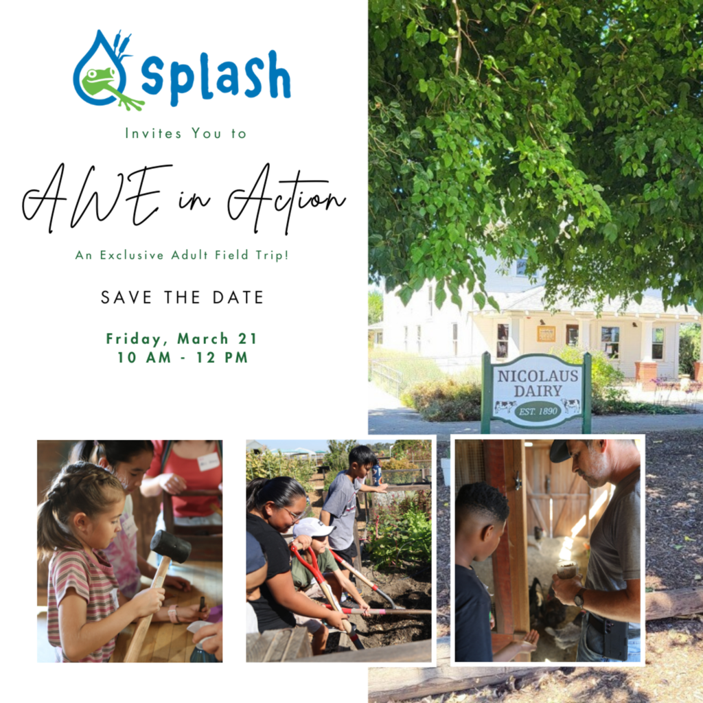 SPECIAL EVENTS - Splash