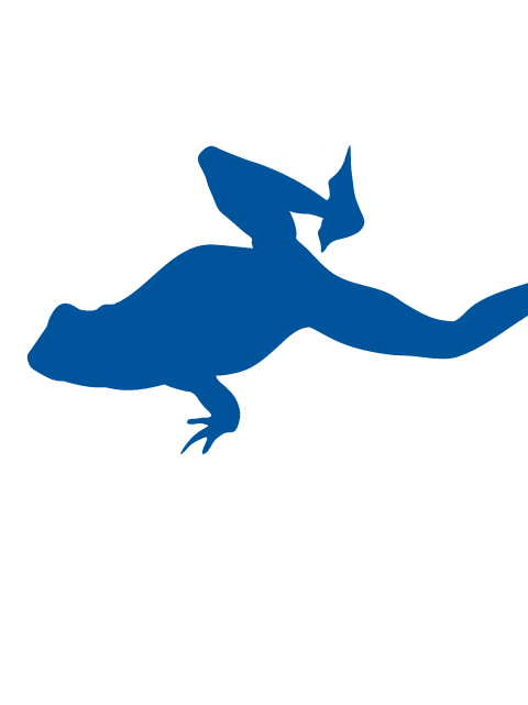 Job Openings - Splash